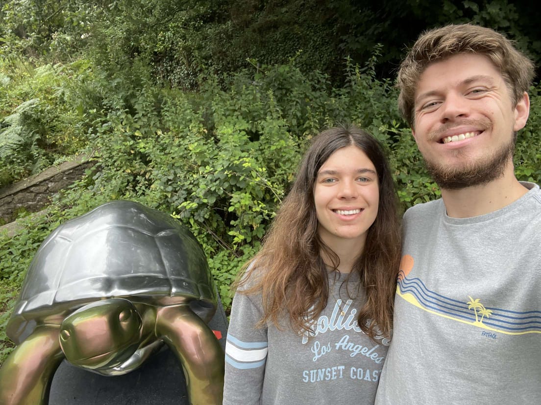 Tortoises 'takeover' as couple collect 115 sculptures in one day ...