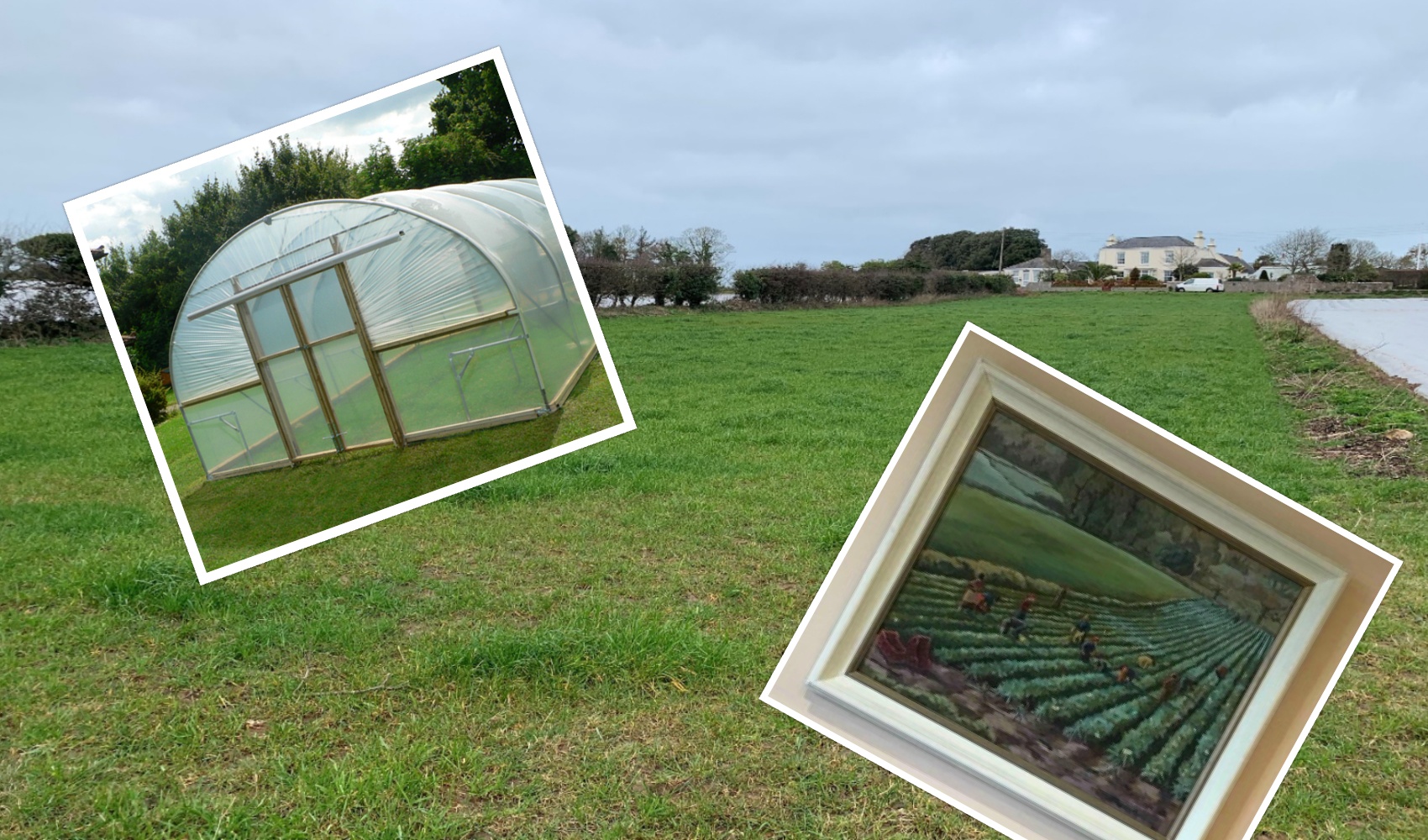 Polytunnel plan faces parish opposition - Bailiwick Express News Jersey