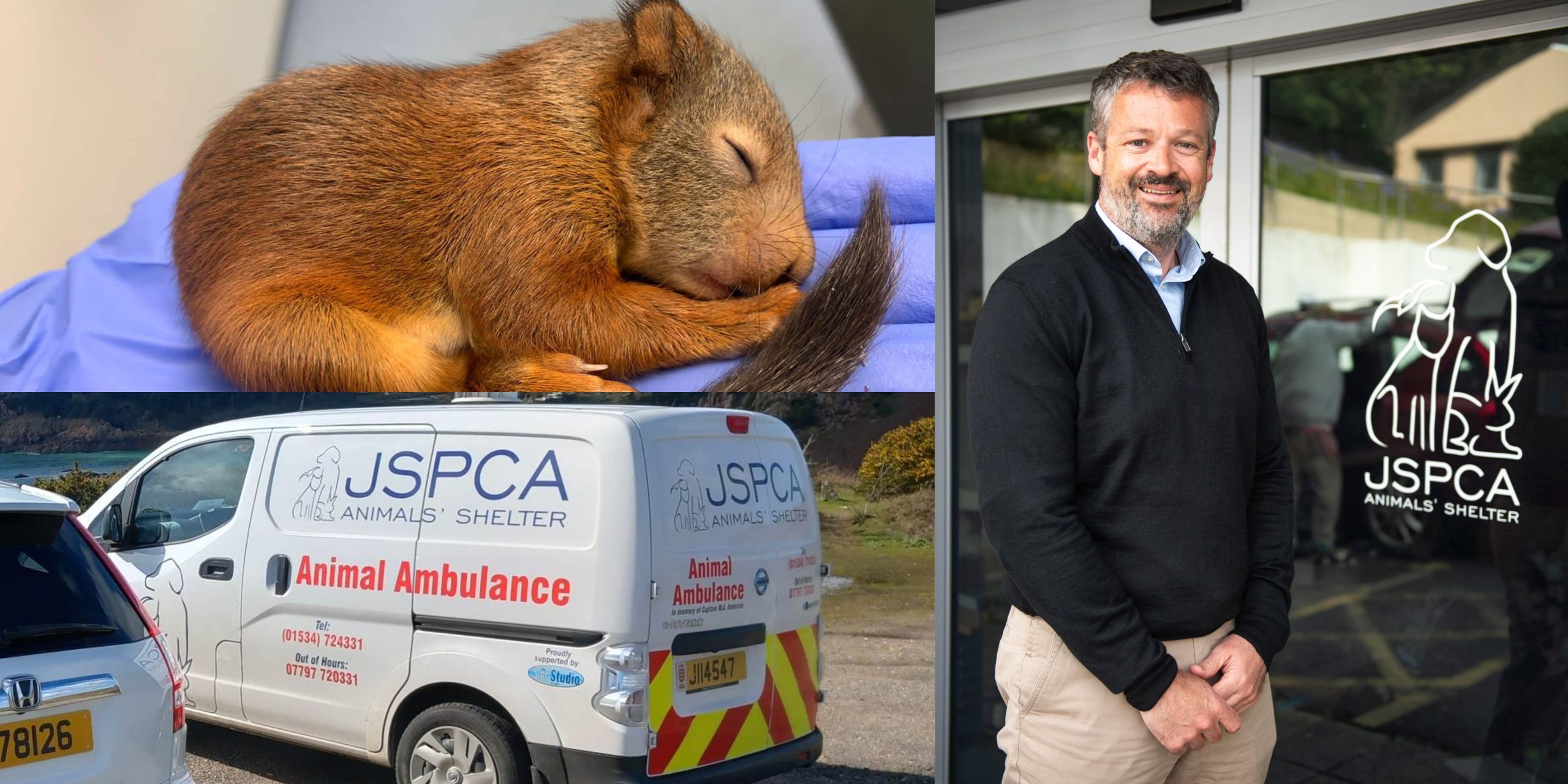Tom Noel, JSPCA Interim CEO: "A mission goes far beyond a corporate ...