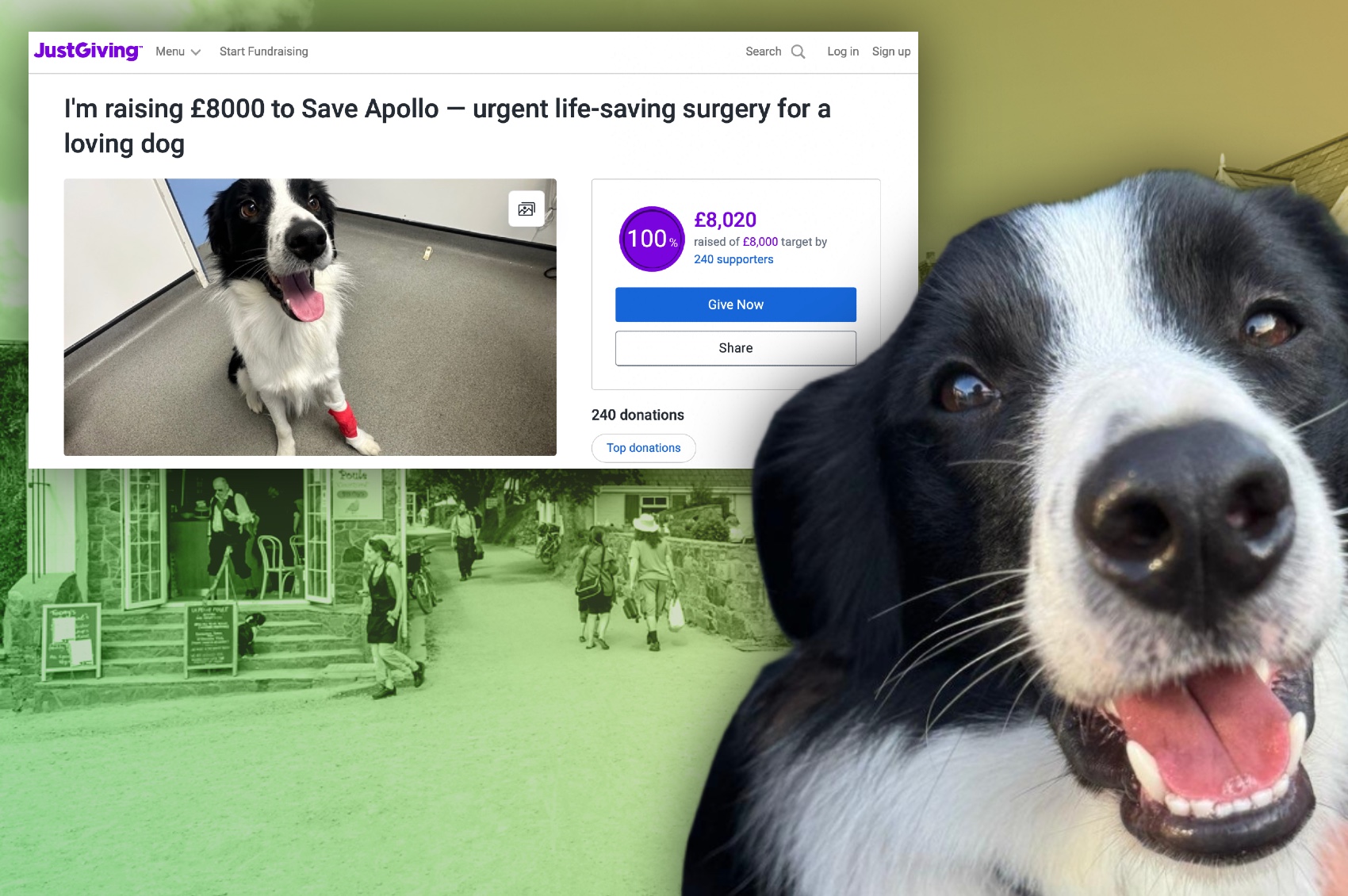 Sark born pooch’s fundraiser hits the target - Bailiwick Express News ...